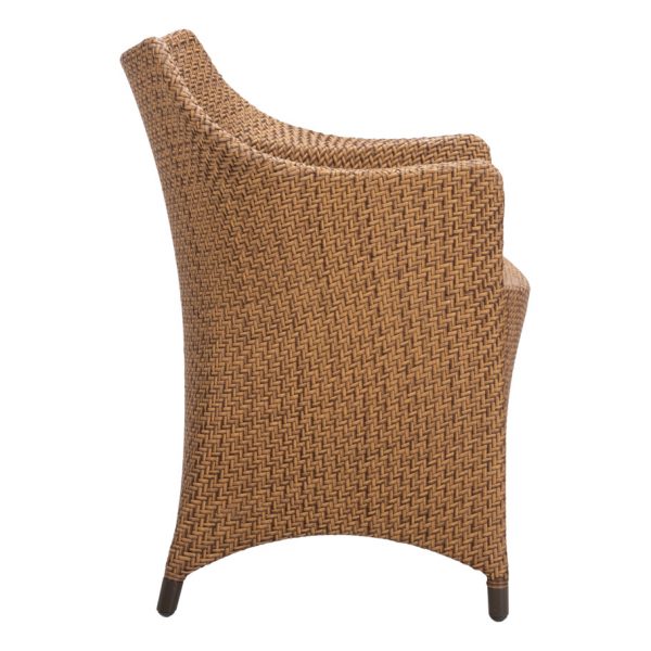 Amari Vita Dining Arm Chair - Caramel - Cabana Home